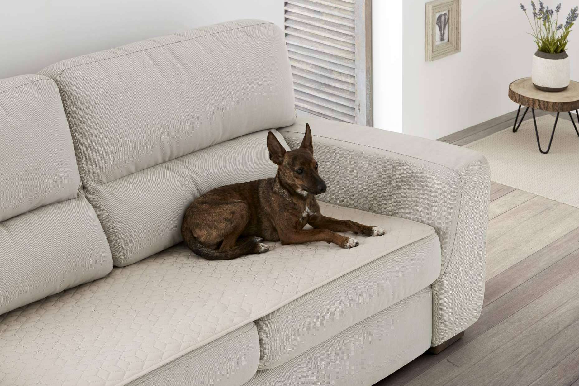 La Novena Nube ofrece diversos modelos de toppers para sofá - Somos ...