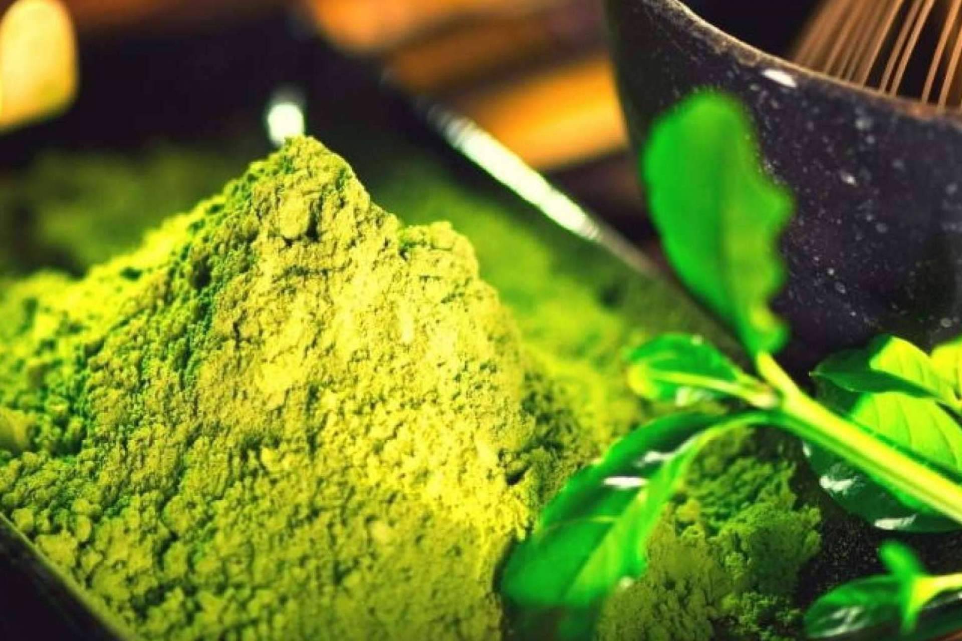 Matchaflix se ha convertido en una de las empresas líderes en España en ...