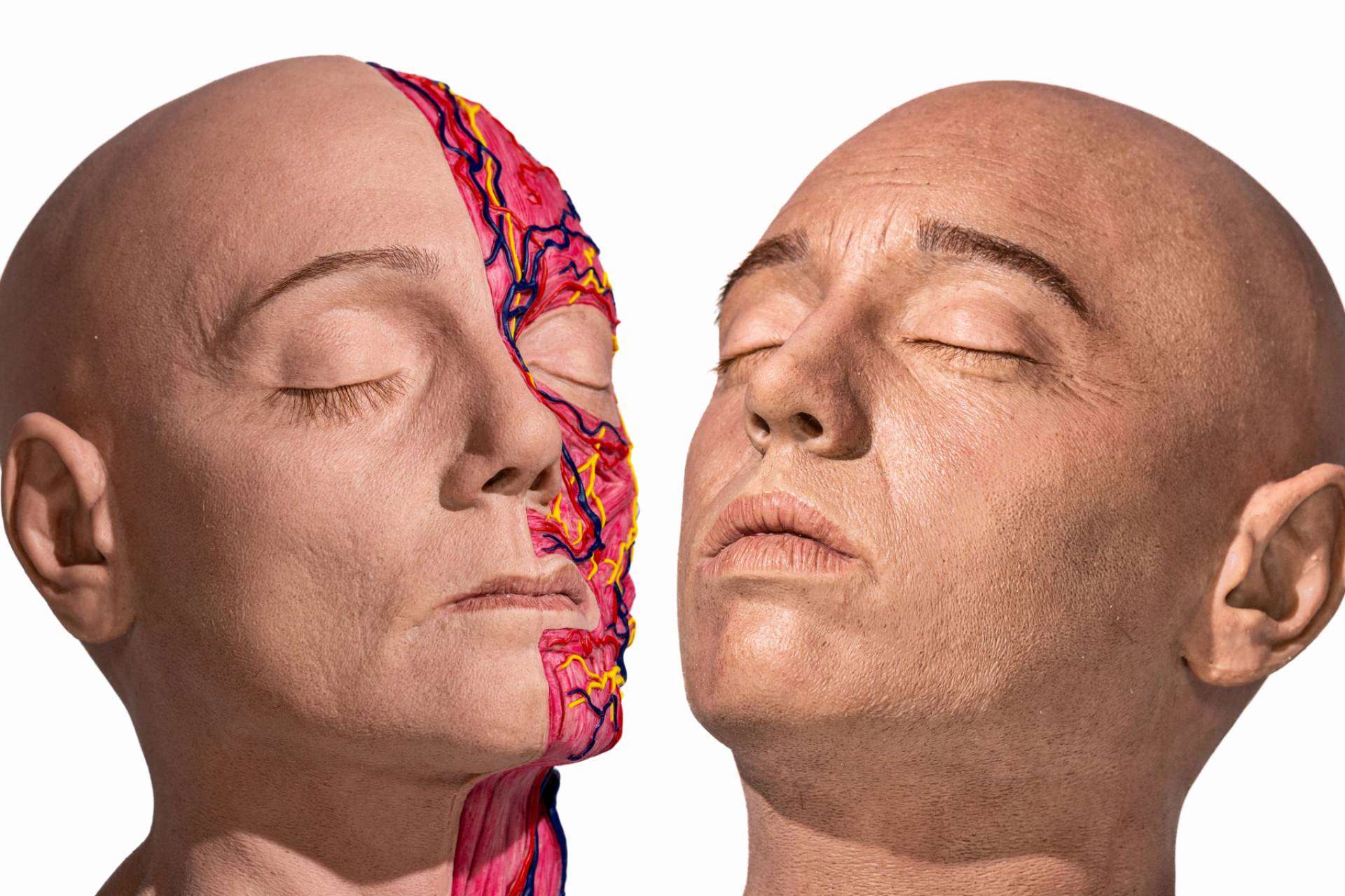 REALMED SIMULATORS, la compañía que está revolucionando la formación en ...